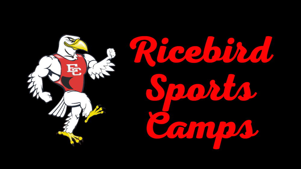 Ricebird Summer Sports Camps Announced | El Campo ISD